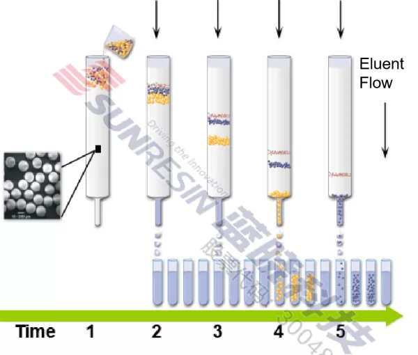 Application of Chromatography Technology in Synthetic Biology - Sunresin