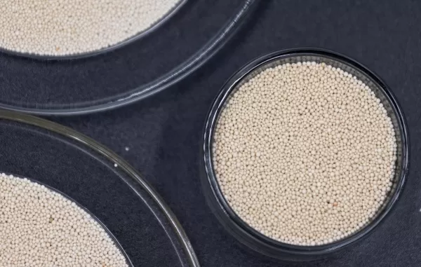 Sunresin-Iron removal technology of hydrometallurgical lithium battery ...