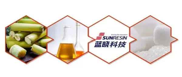 Sunresin's Advanced Solutions for Refined Sugar and Sugar Alcohol ...