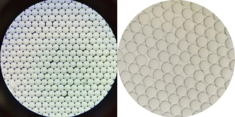 Sunresin丨Advancing Ergothioneine Production with Adsorption and ...