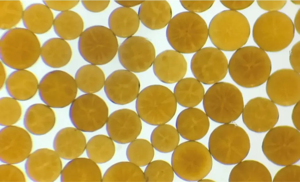 Sunresin produces a wide range of resins that are widely used in the ...